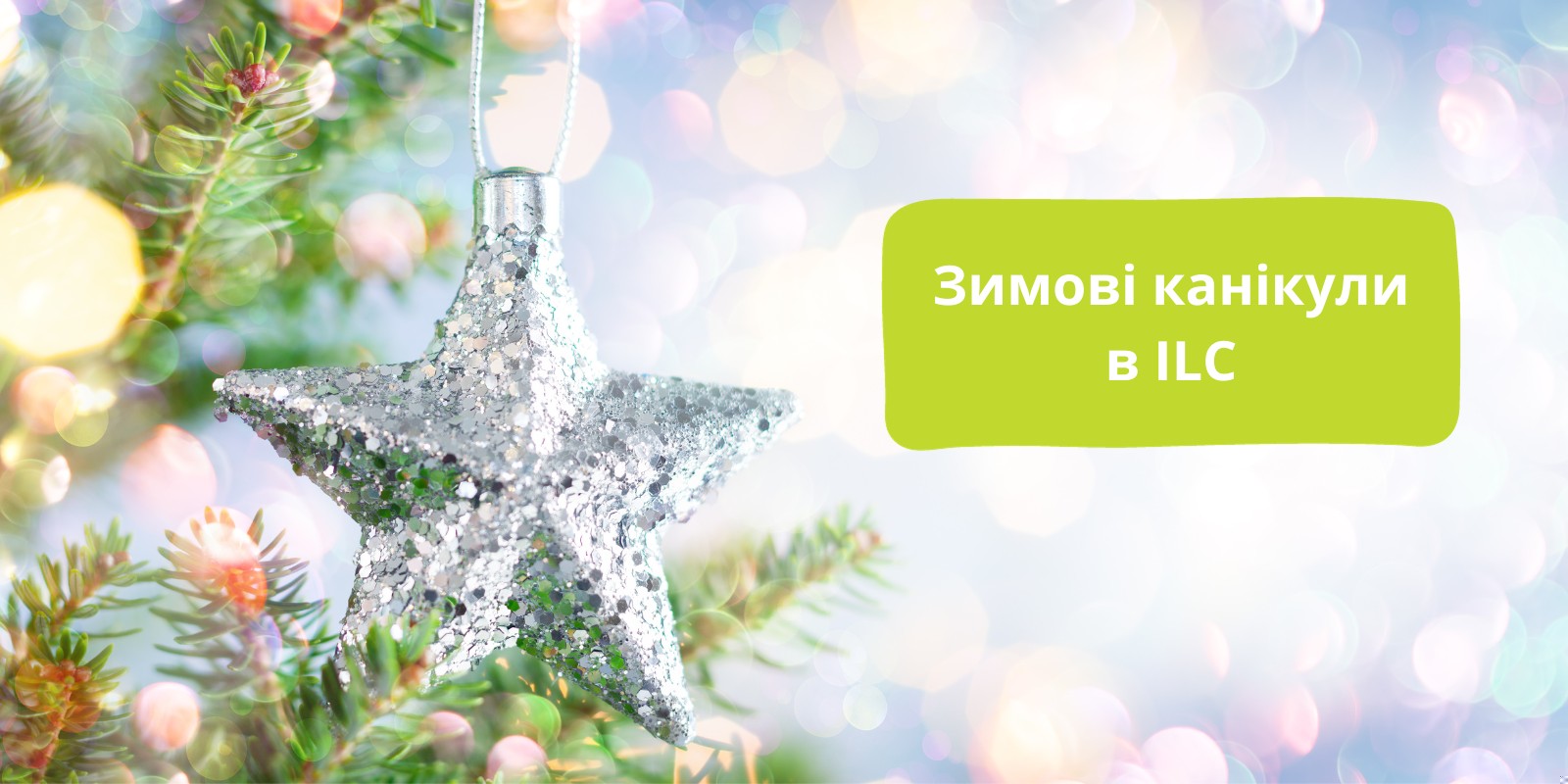 Дати Різдвяних канікул в ILC